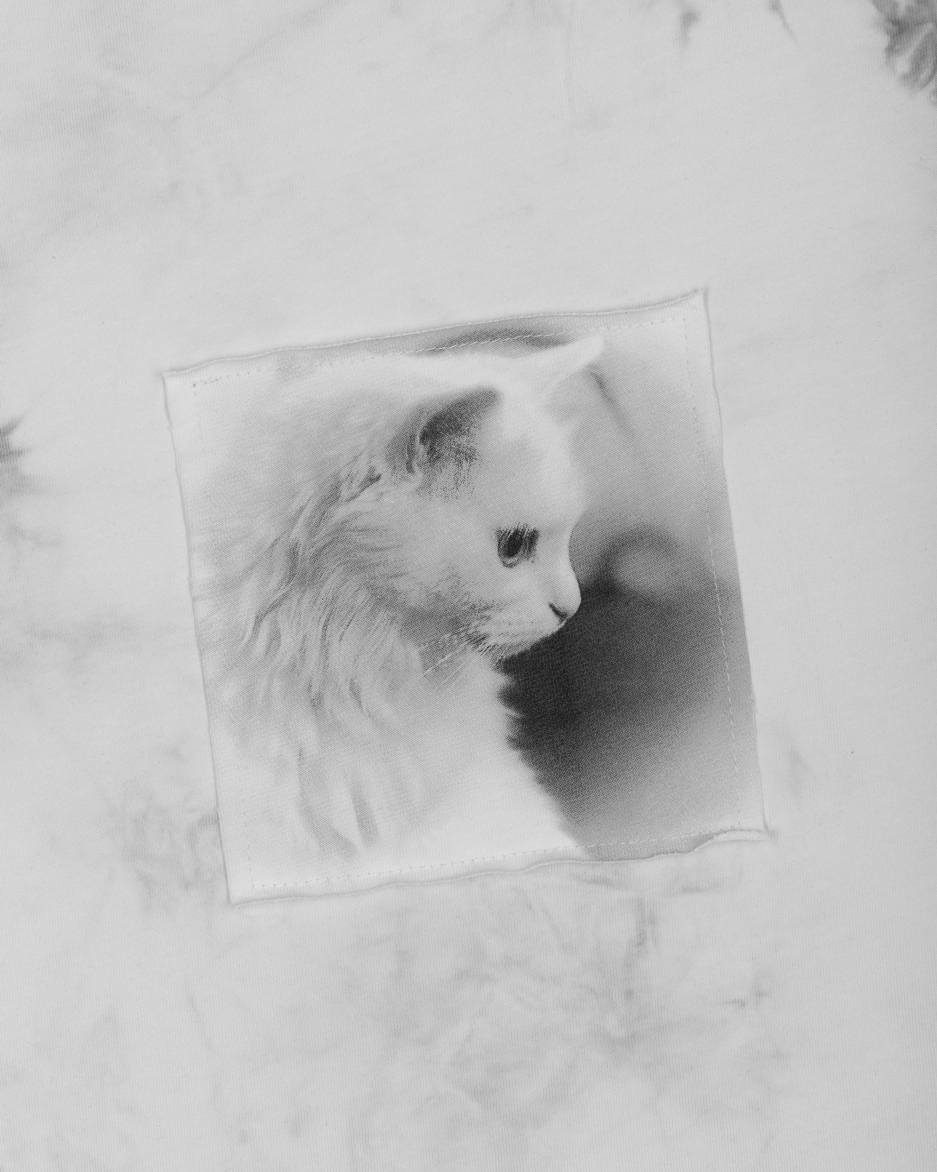Torch - Whitey
