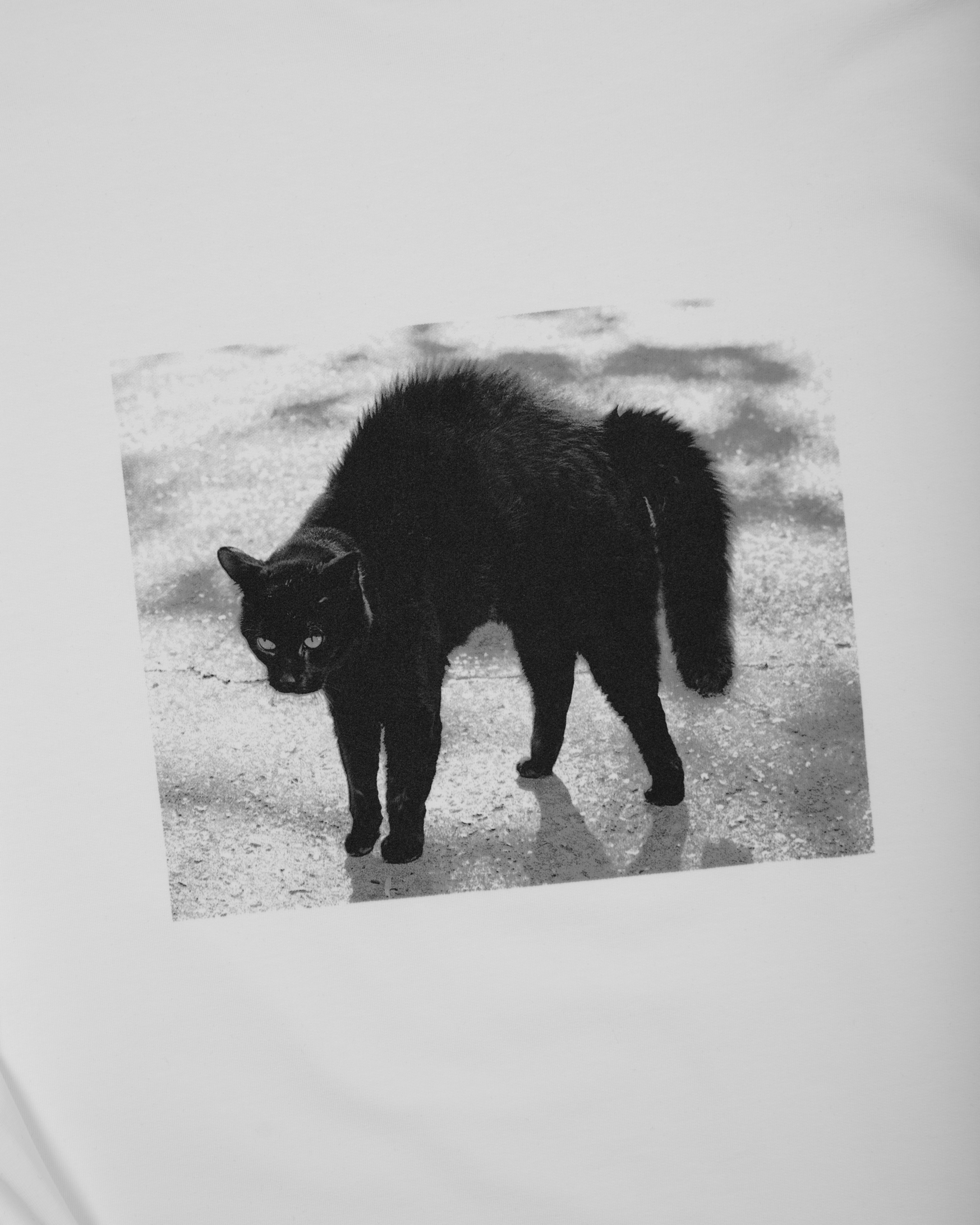 Torch - Hiss